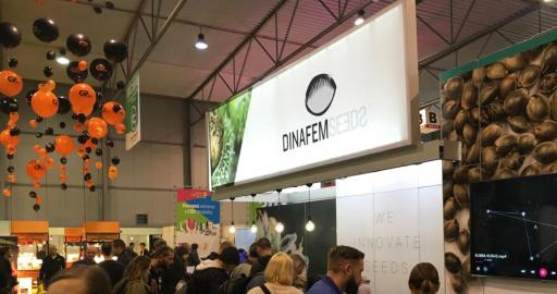 2020 Cannabis Fairs: Where to Find Dinafem Seeds