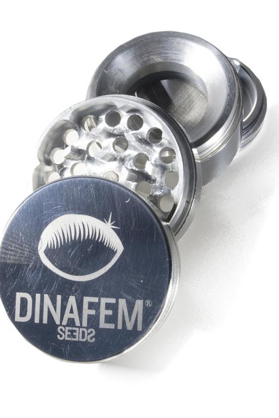 Dinafem Flat Cap