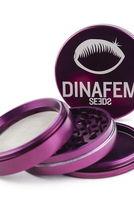 Dinafem Flat Cap