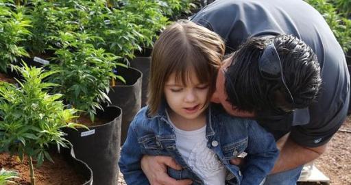 Charlotte´s Web: when your child needs cannabis to survive
