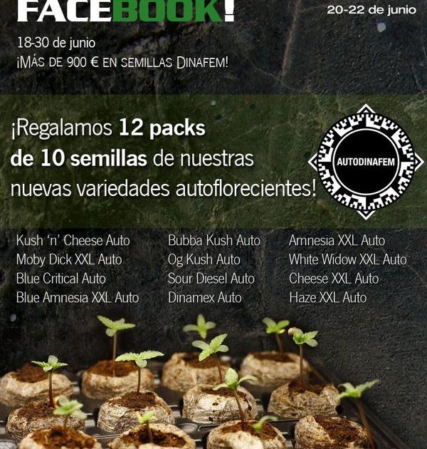 Dinafem presenta sus nuevas variedades feminizadas 2014