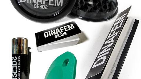 Merchandising - DINAFEM UK