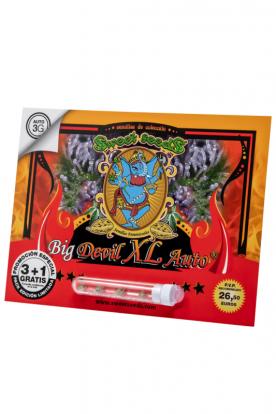 Big Devil XL Auto - Comprar semillas de marihuana Sweet Seeds