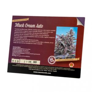 Black Cream Auto - Comprar semillas de marihuana Sweet Seeds