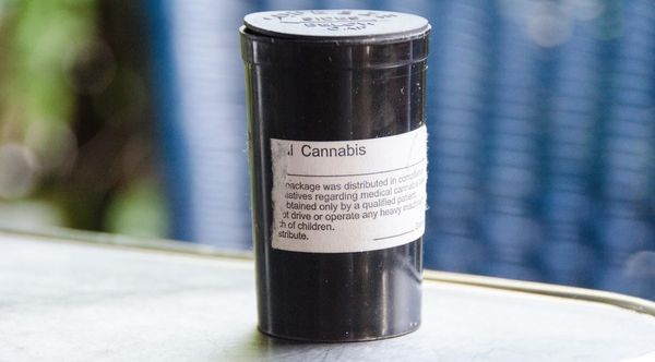 Cannabis vs. Pills: Can Cannabis Help Solve the Opioid Addiction Problem?